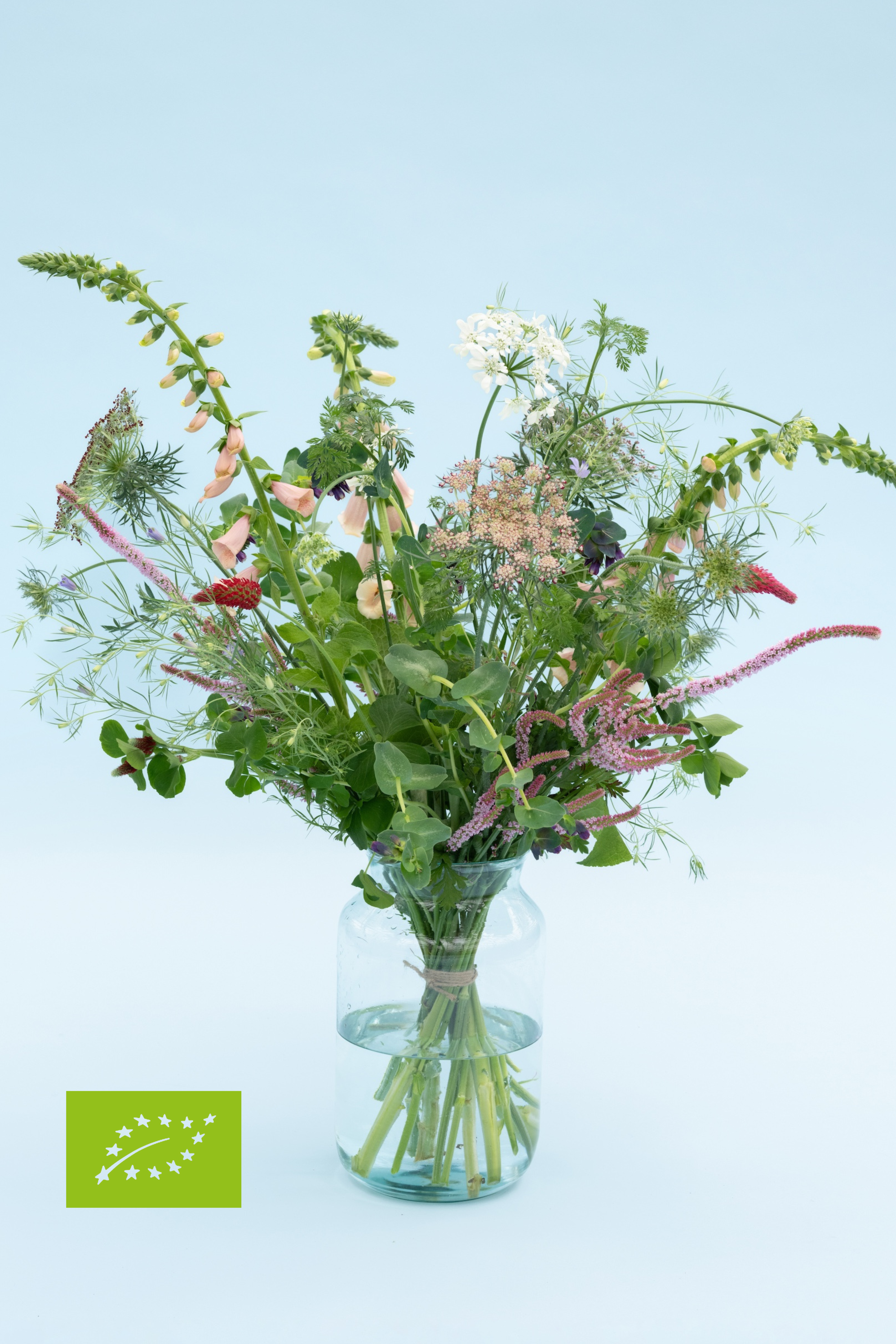 Biologische bloemen bezorgen – vers, lokaal en Bio geteeld | Pluukz