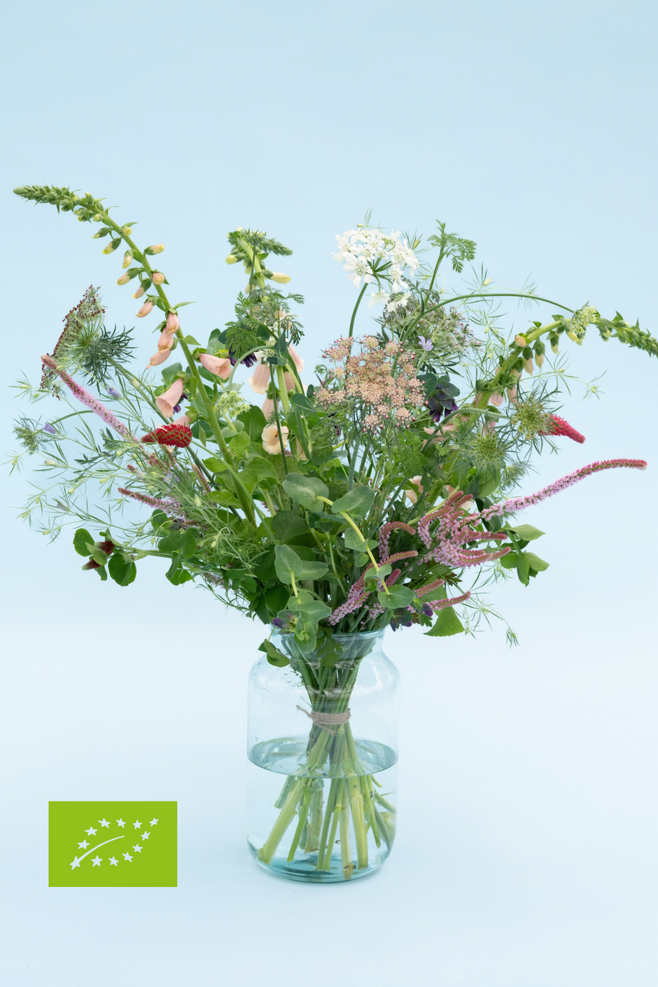 Biologische bloemen bezorgen – vers, lokaal en Bio geteeld | Pluukz