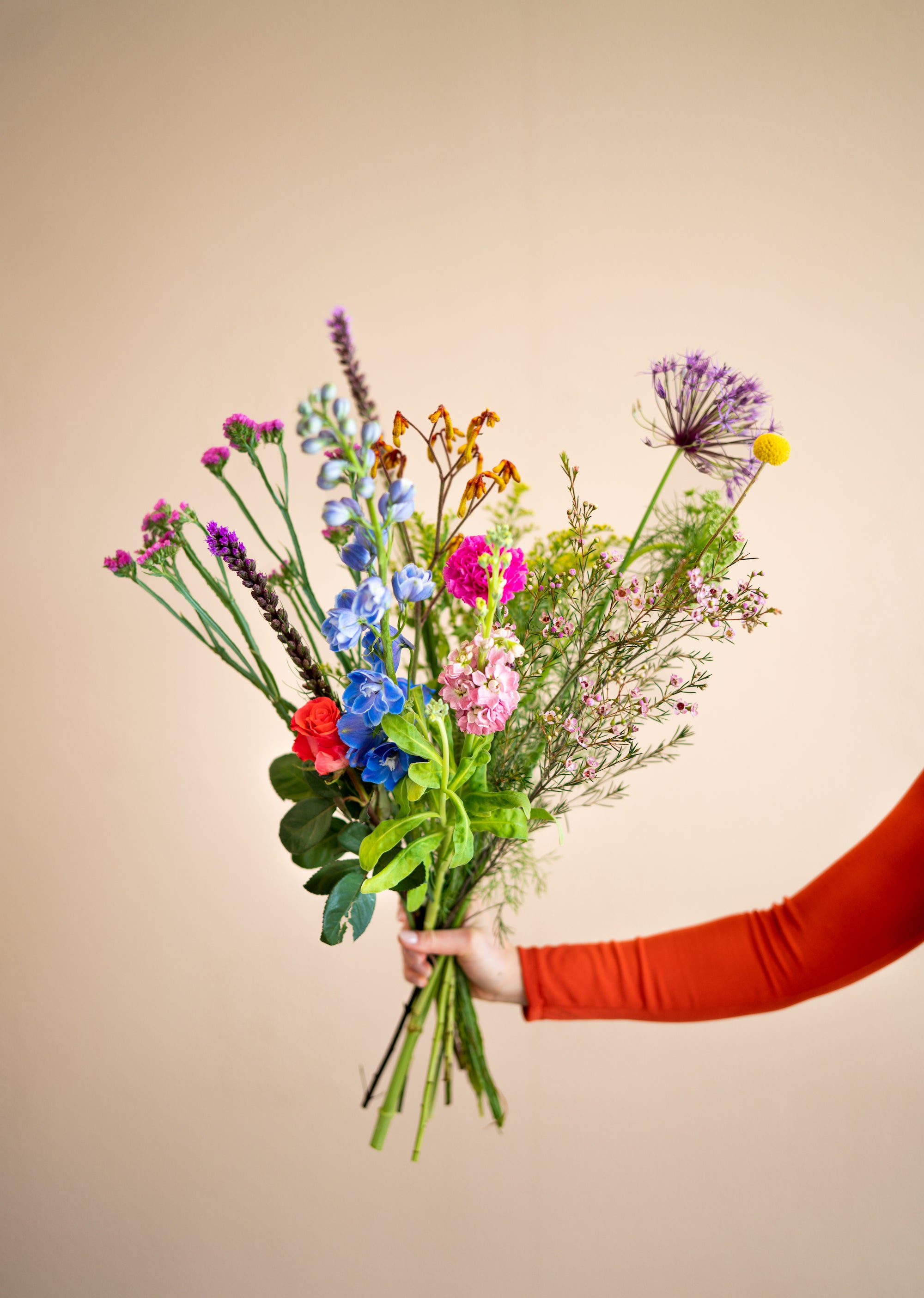 Hoeveel soorten tulpen zijn er? - Pluukz